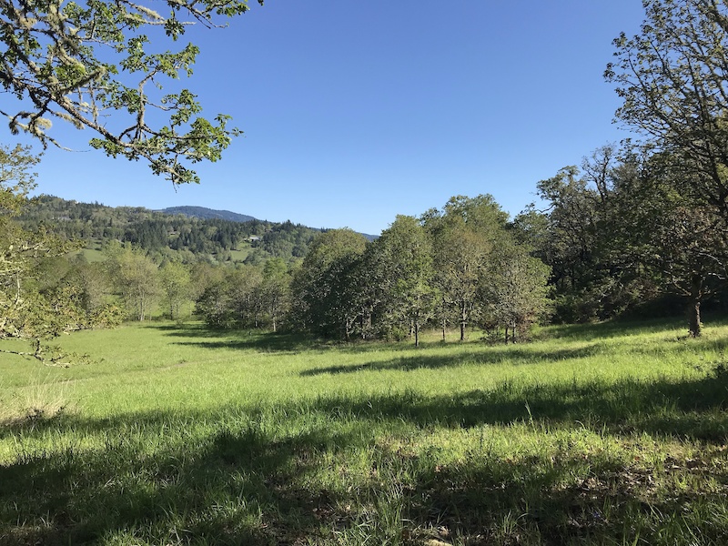 Mount Pilchuck State Park, Pilchuck Hiking Trails | Trailforks