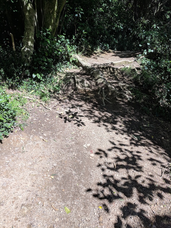 Polhill: Windmill & Back Mountain Biking Route | Trailforks