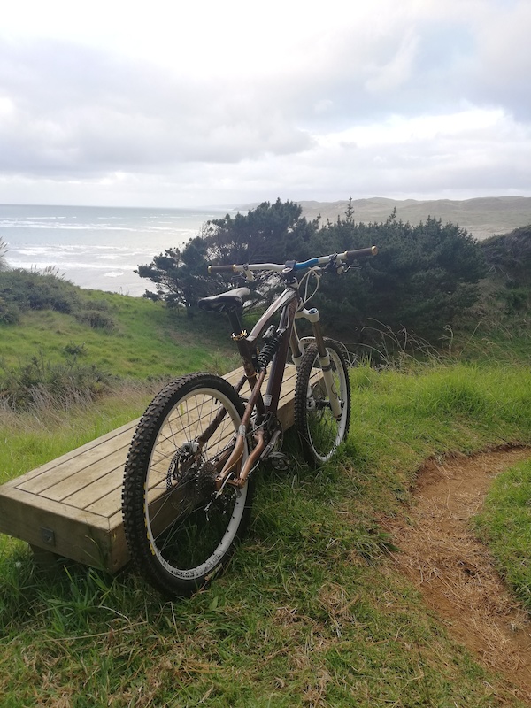 Mr C's Groove Mountain Biking Trail - Raglan