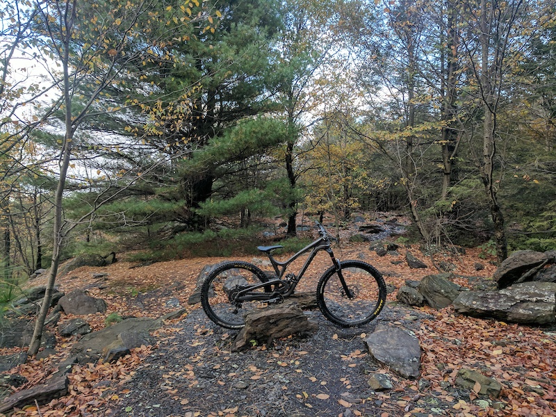 Lookout Mountain Biking Trail - Shamokin, Pennsylvania