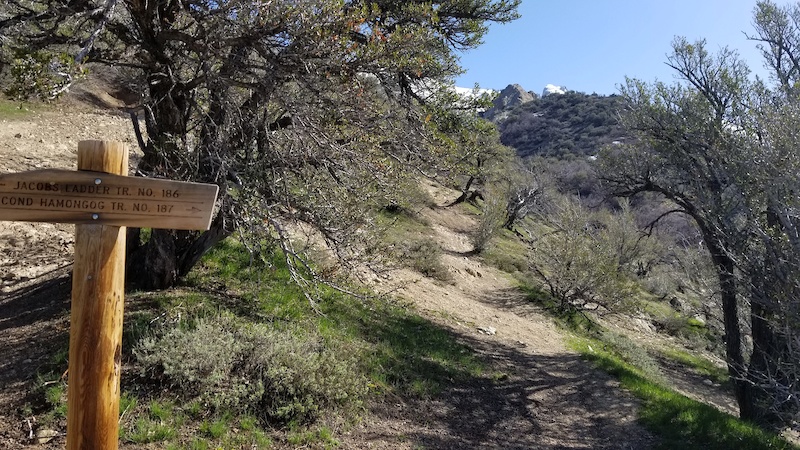 Jacobs Ladder Hiking Trail - Sandy, Utah | Trailforks
