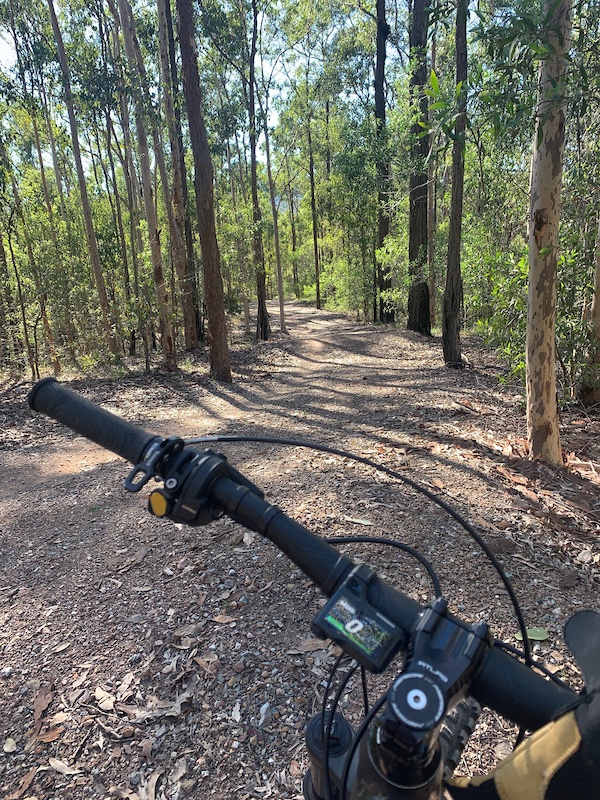 Curlew Circuit Trail Mountain Biking Trail - Brisbane