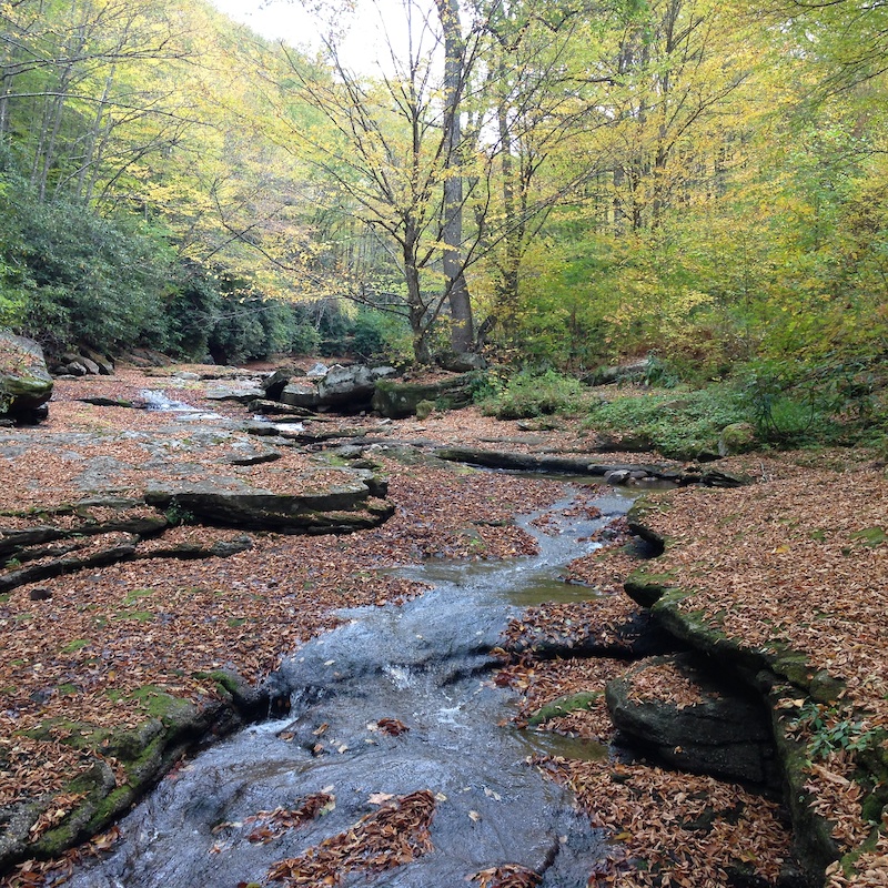 Tea Creek Campground Main Loop Mountain Biking Route | Trailforks