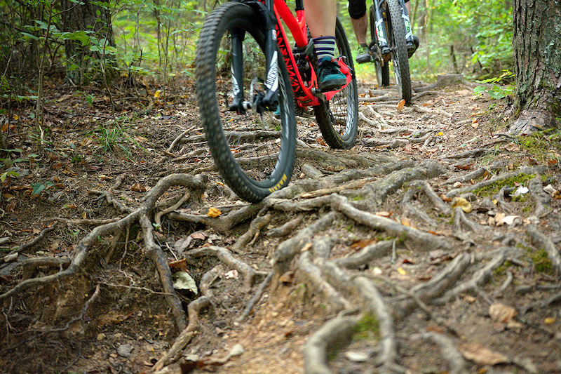 Haw Day Long Mountain Biking Route | Trailforks