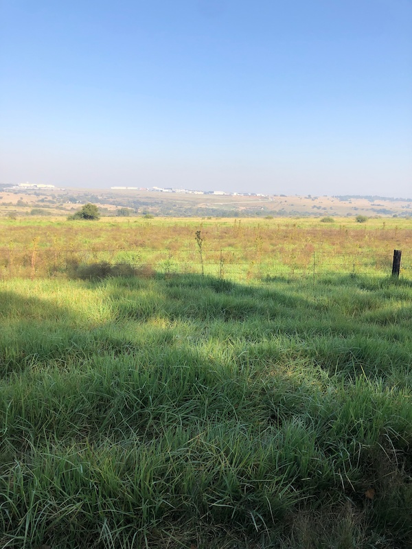 Cattle Run Multi Trail - Diepsloot | Trailforks