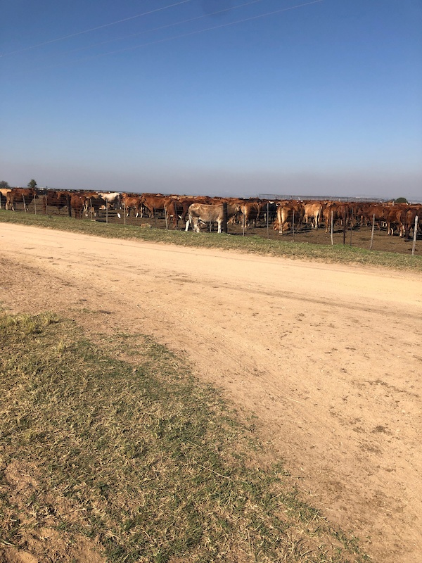 Northern Farm Red Trail Mountain Biking Route | Trailforks