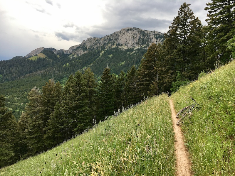 Ross Pass Multi Trail - Bozeman, Montana | Trailforks