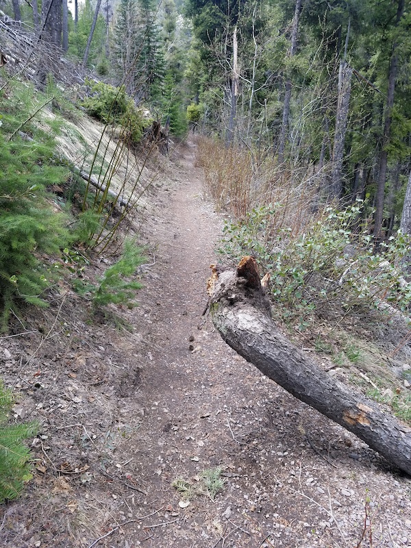 Bald Mountain Trail Multi Trail - Ketchum, Idaho