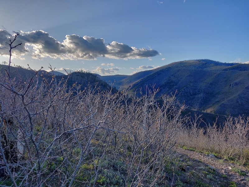 Guaje Ridge Multi Trail - Los Alamos, NM | Trailforks