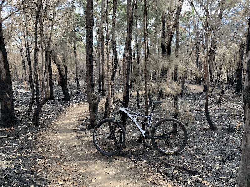 Downed Log East Mountain Biking Trail - Loftus NSW