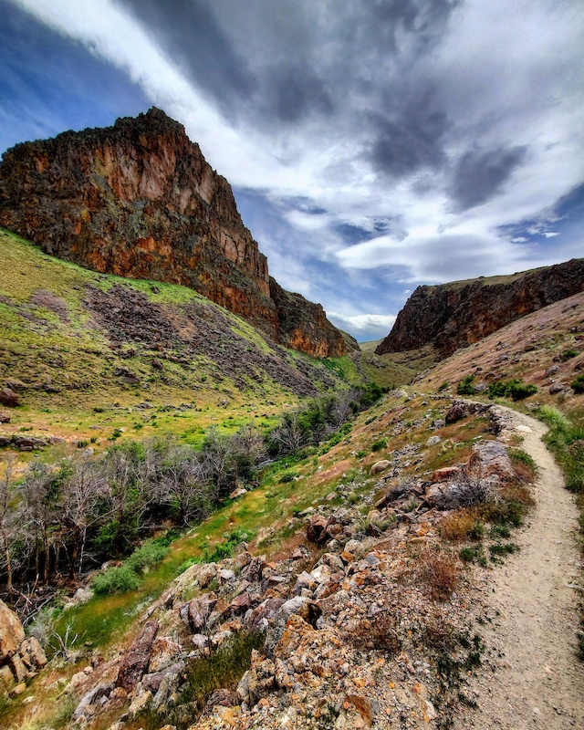 China Ditch (W600) Mountain Biking Trail - Wilson, Idaho
