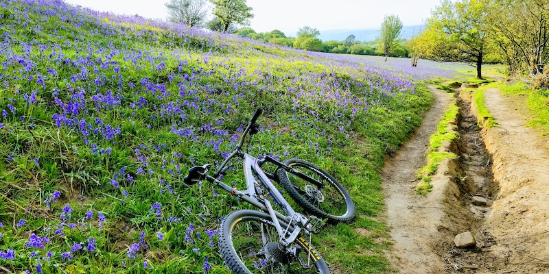 Rocky Road Mountain Biking Trail - Cheddar | Trailforks