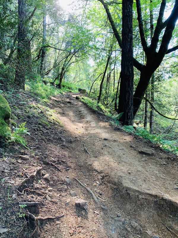 12 Mile Annadel Loop Mountain Biking Route | Trailforks