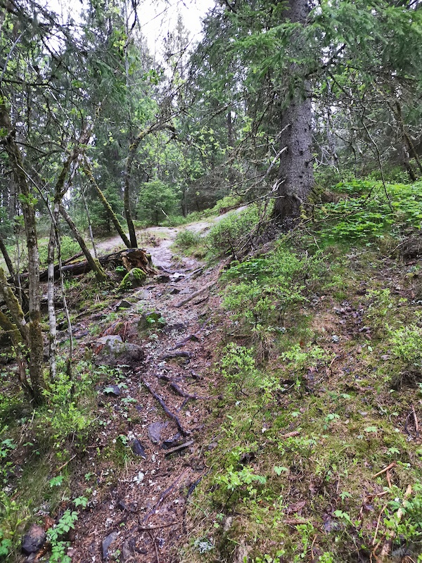 Oslo Region Mountain Biking Trails | Trailforks