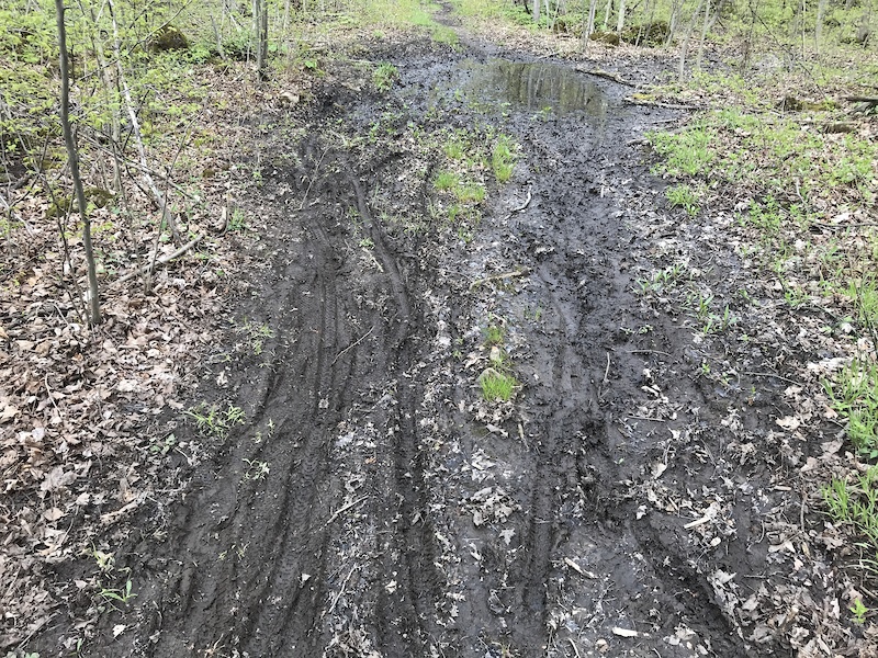 Border Run Mountain Biking Trail - Milton, Ontario