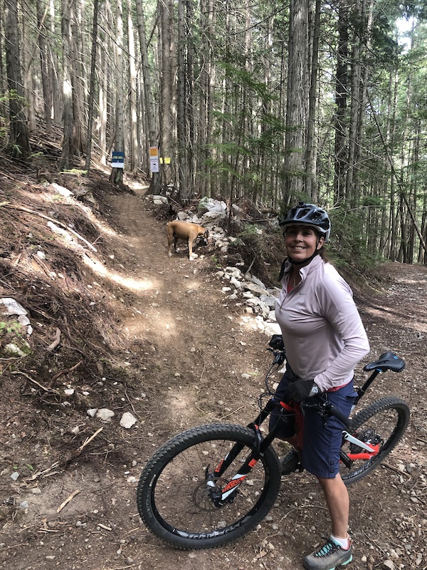 Failry High loop Mountain Biking Route | Trailforks
