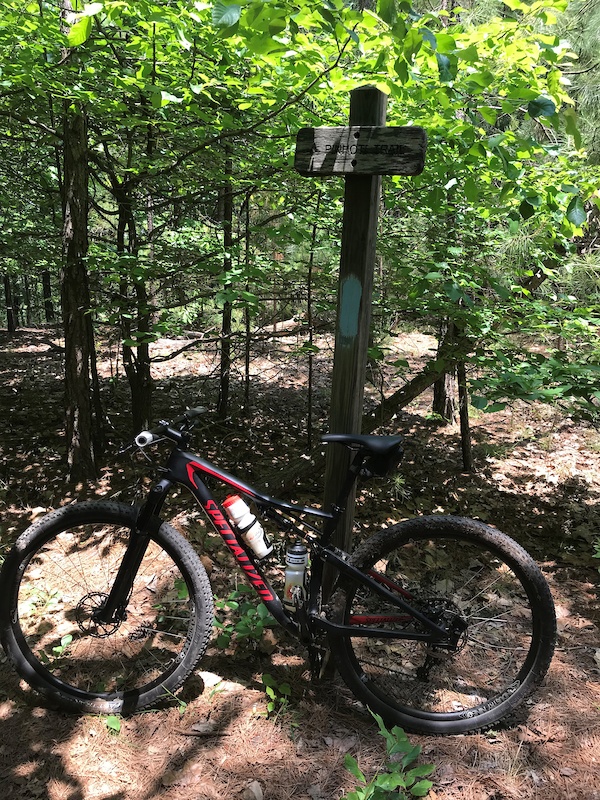 Pinhoti Trail Multi Trail - Polk County - Georgia