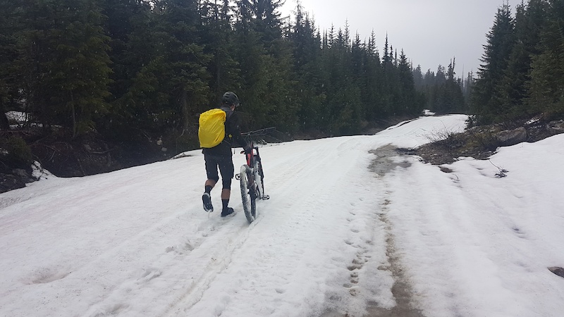 Frisby Ridge FSR Multi Trail - Frisby, Revelstoke, BC