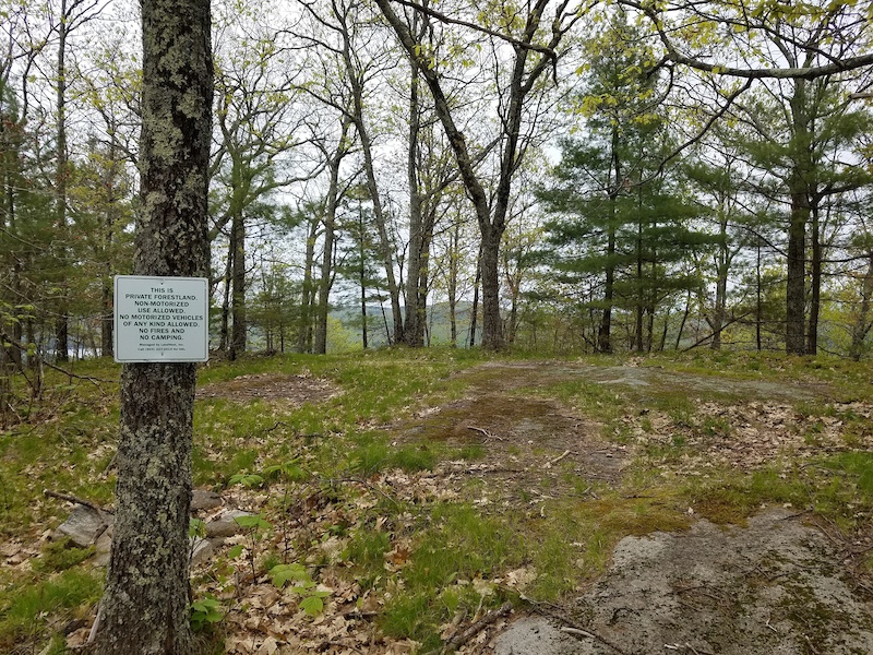 Mount Molly Trail Multi Trail - New Durham, New Hampshire