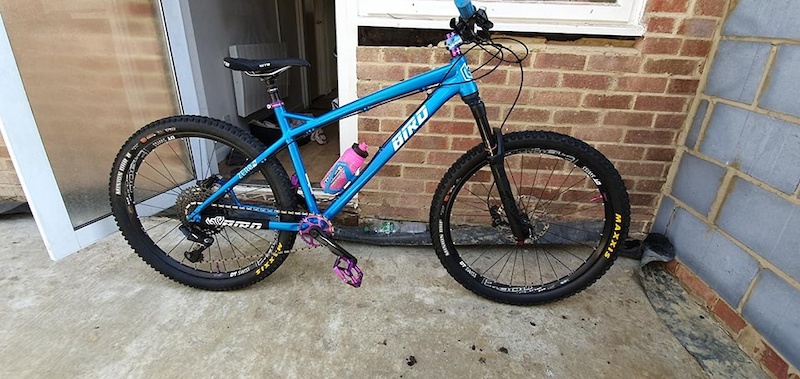 2017 Bird Zero TR (large) For Sale