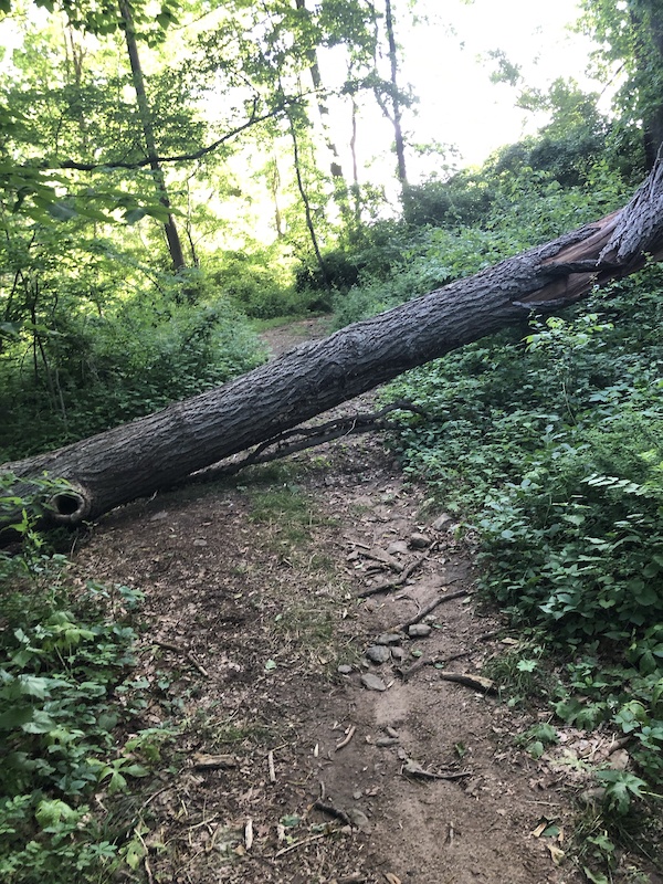 DE Beaver Valley to PA Beaver Valley Multi Trail - Wilmington