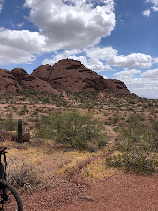 Little Butte Loop Multi Trail - Tempe, Arizona