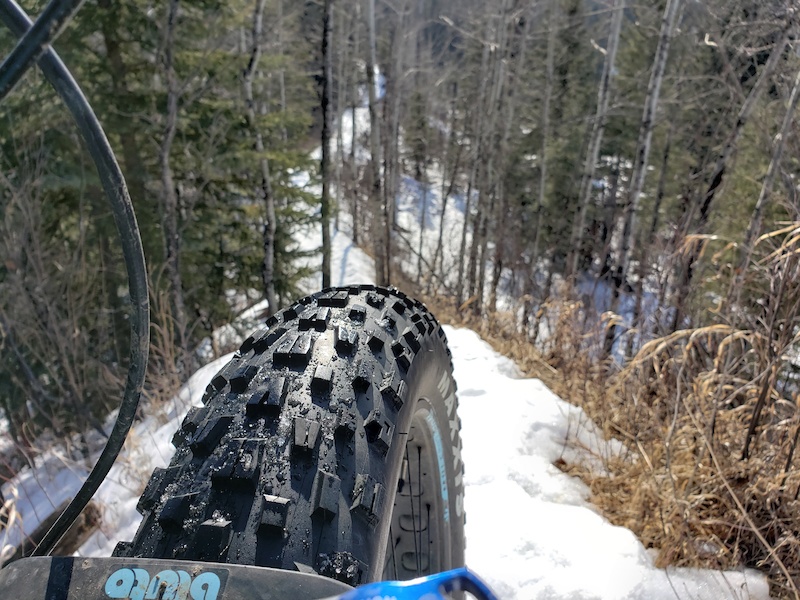 Beaver Point Mountain Biking Trail - Grande Prairie