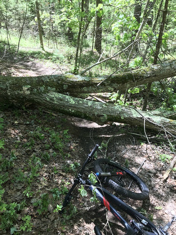 May 26, 2019 Little Wing Trail Report | Trailforks