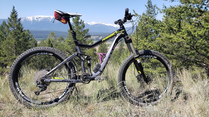 2013 Giant reign x / custom For Sale