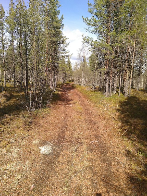 To Kurravaara Mountain Biking Trail - Kiruna