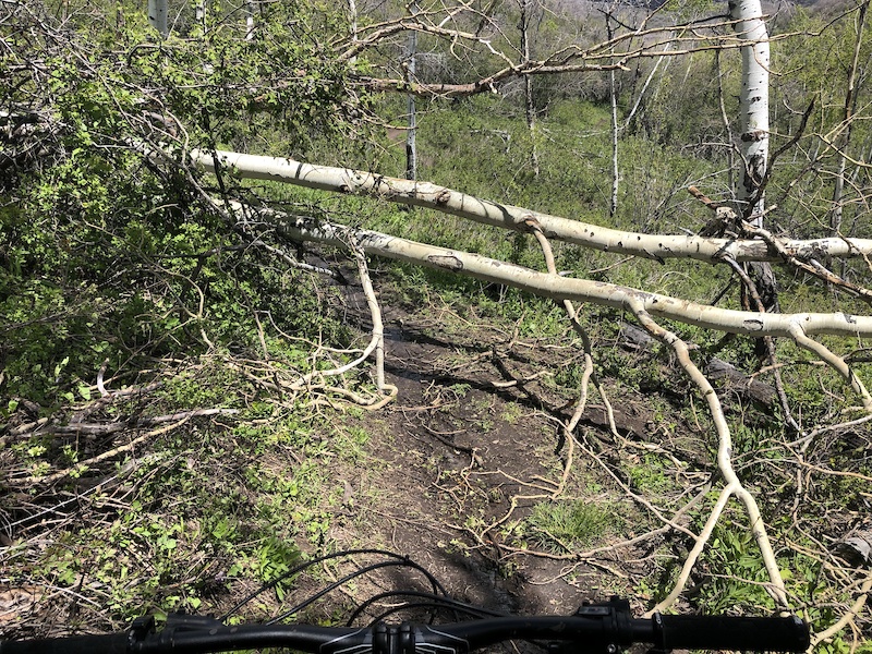Cobblestone Loop Multi Trail - Park City, Utah