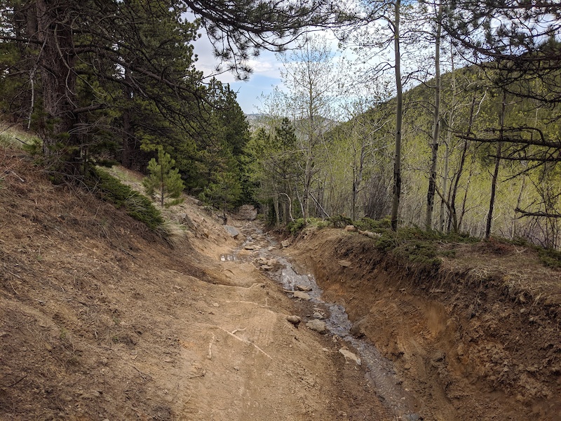 Pennsylvania Gulch Mountain Biking Trail - Nederland