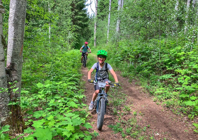 Swamp Loop Mountain Biking Trail - Clearwater, BC
