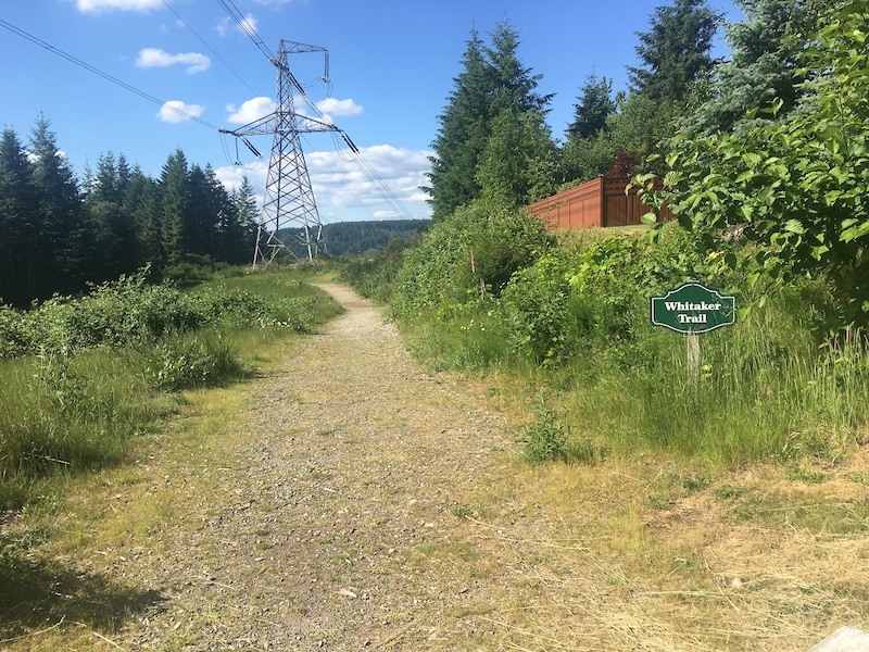 Snoqualmie Ridge, Snoqualmie Mountain Biking Trails | Trailforks