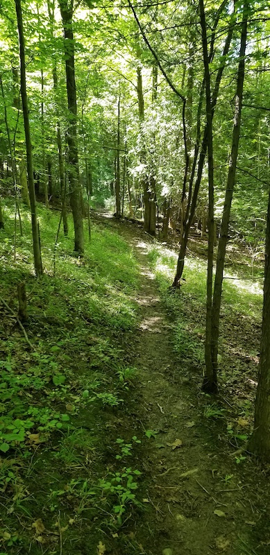Duncan Escarpment Provincial Park, The Blue Mountains Hiking Trails ...