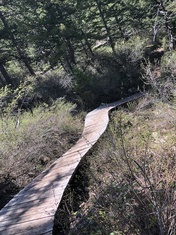 Red Grade Trails, Big Horn Mountain Biking Trails | Trailforks