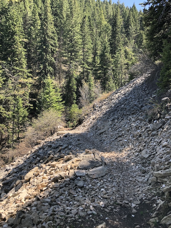 Red Grade Trails, Big Horn Mountain Biking Trails | Trailforks