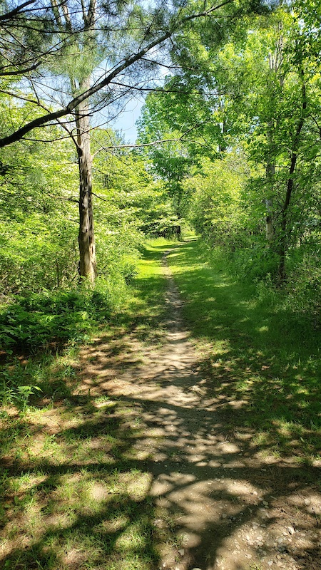 Goose Hill 3 Multi Trail - Williston, Vermont