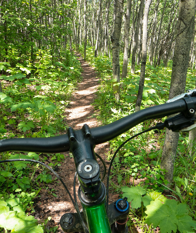 Jungle Run Multi Trail - Calgary, Alberta | Trailforks