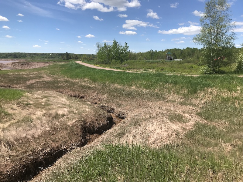 Sentier NB Trail - Dieppe Mountain Biking Trail - - New Brunswick