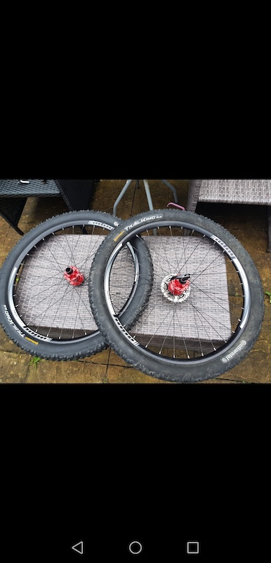 Hope hoops pro 4's laced on hope tech enduro rims. For Sale