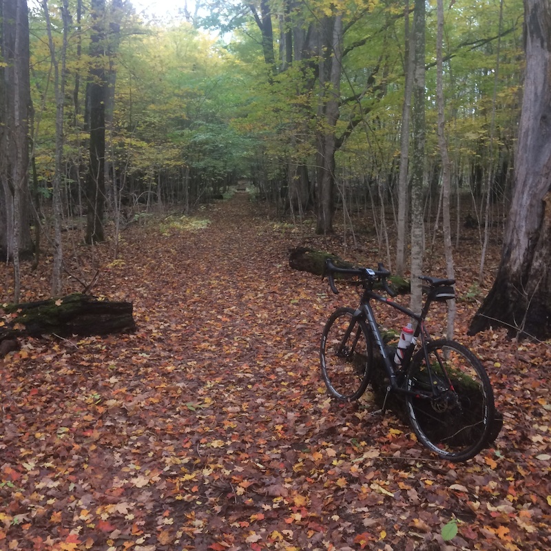 Indian Point Trail Multi Trail - Bexley, Ontario