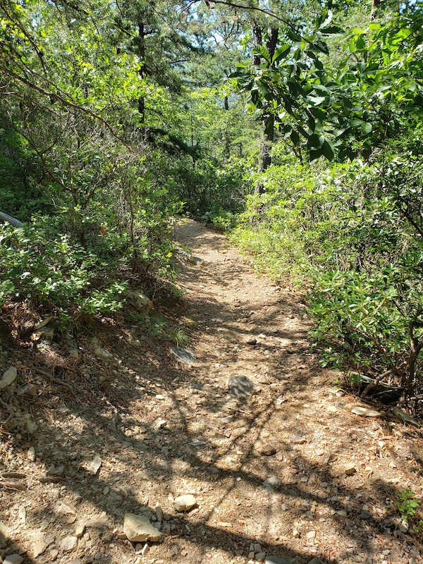 Bear Wallow Trail Mountain Biking Trail - Strasburg