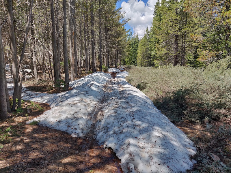 Antone Meadows Trail (South) Multi Trail - Tahoe City