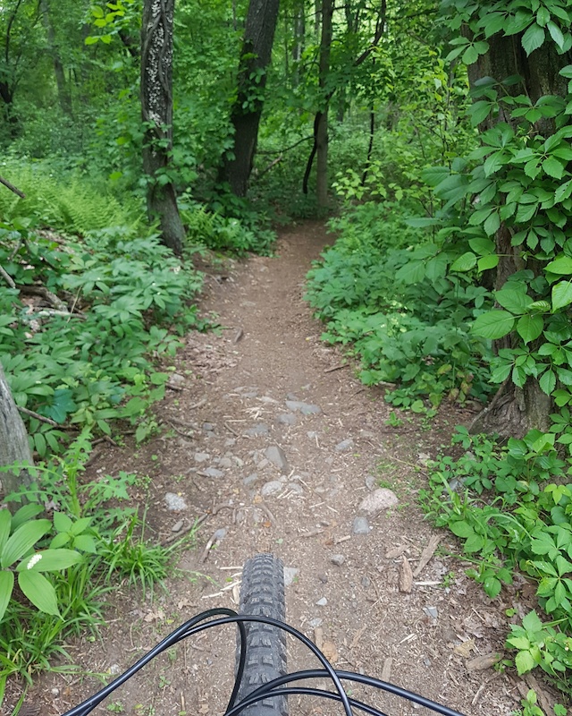 Lone Tree Hill and Water Tower Mountain Biking Route | Trailforks