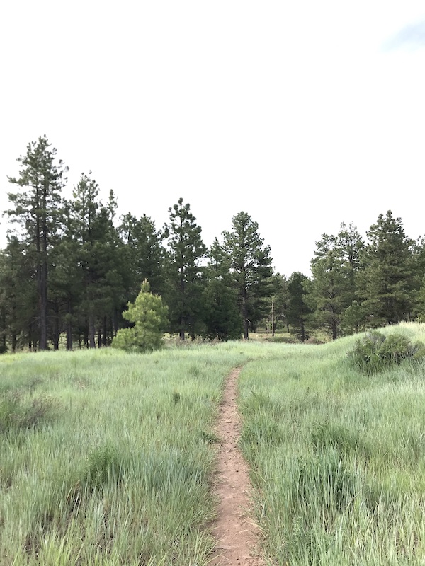 Flagstaff Area, Arizona Mountain Biking Trails | Trailforks