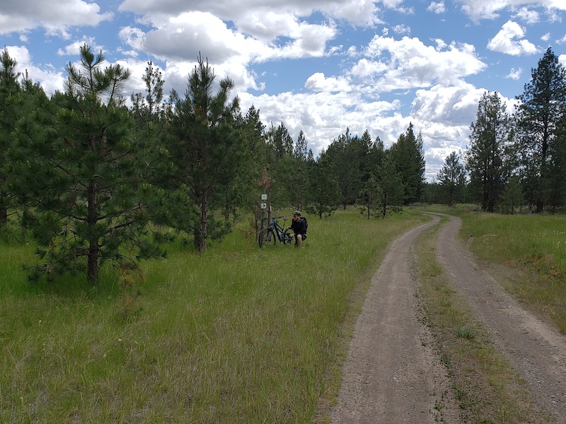 Sheep Mountain Trail (The Great Trail) Multi Trail - Elko, BC