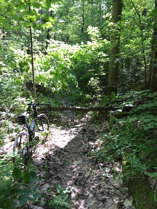 Low Orbit Multi Trail - Richmond Hill, Ontario