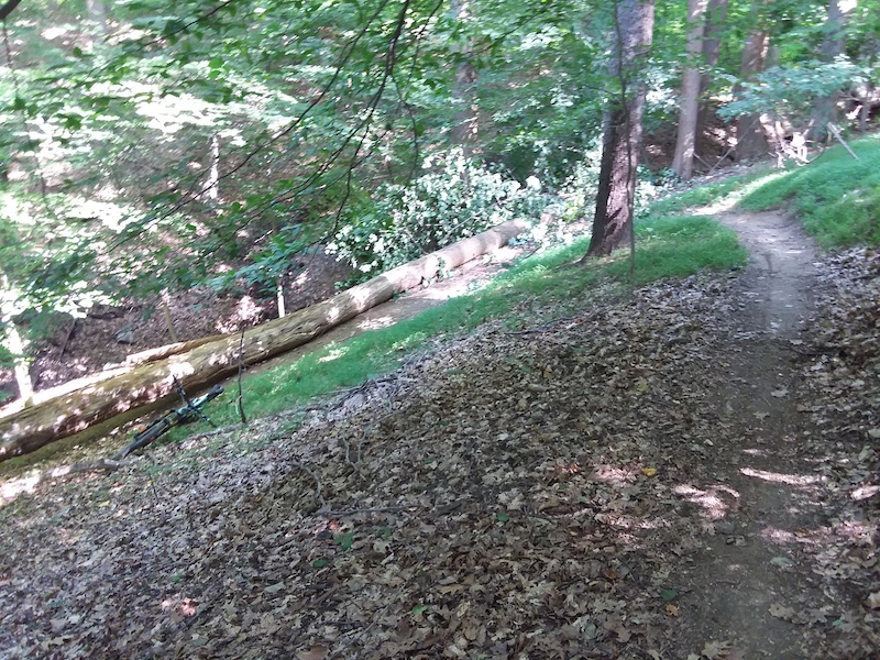 Daniels Singletrack Mountain Biking Trail - Ellicott City