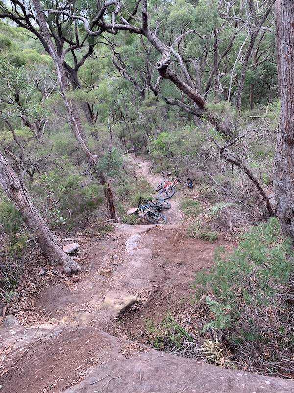 Enduro Your Sender Mountain Biking Trail - Hornsby